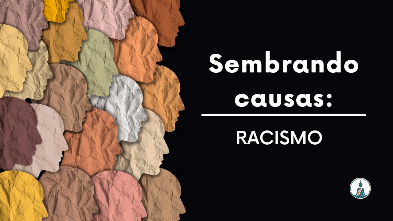 Sembrando causas: Racismo – Facebuda